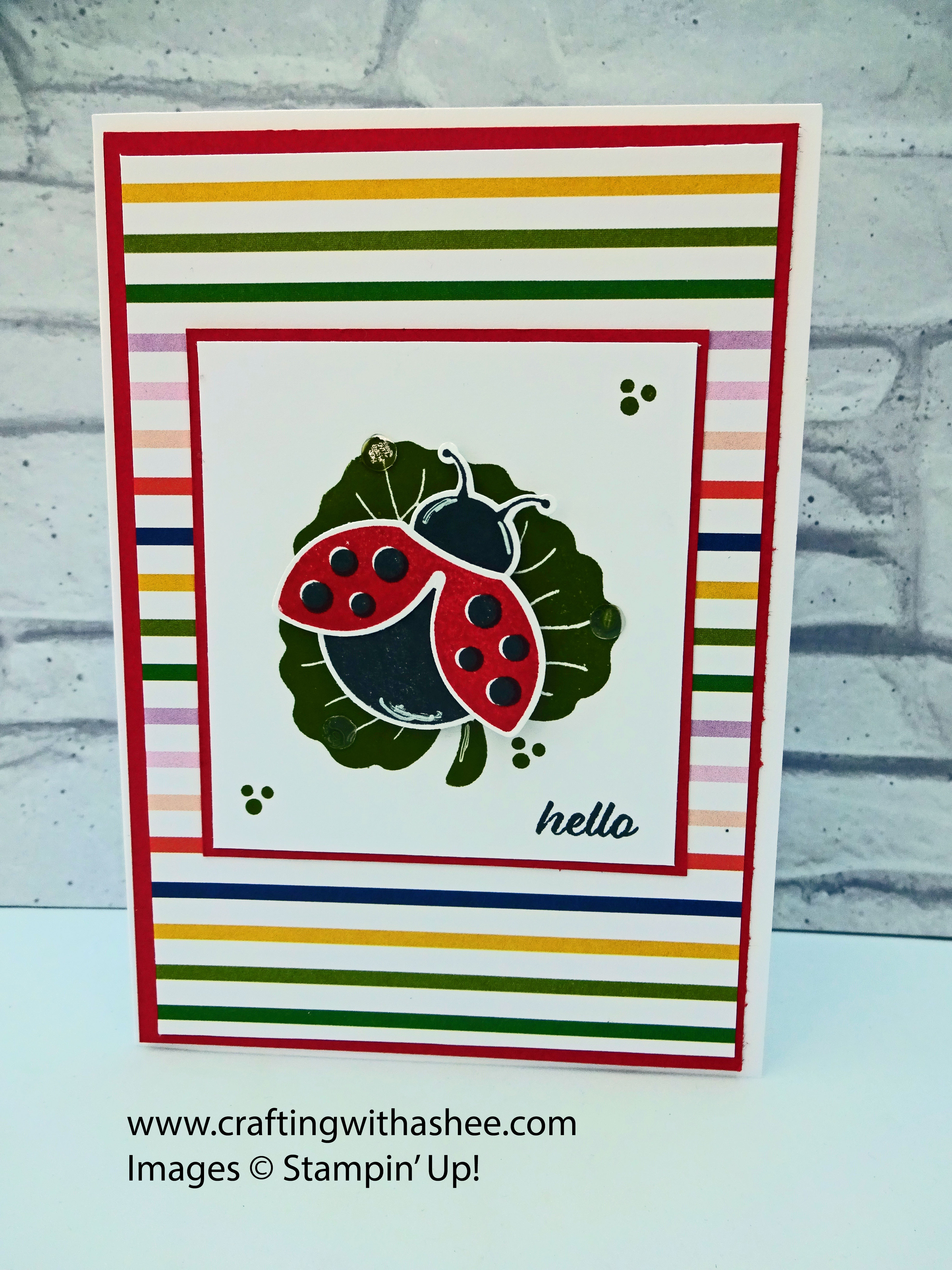 Make a Ladybird Friendship Card With Me – Crafting with Ashee ...