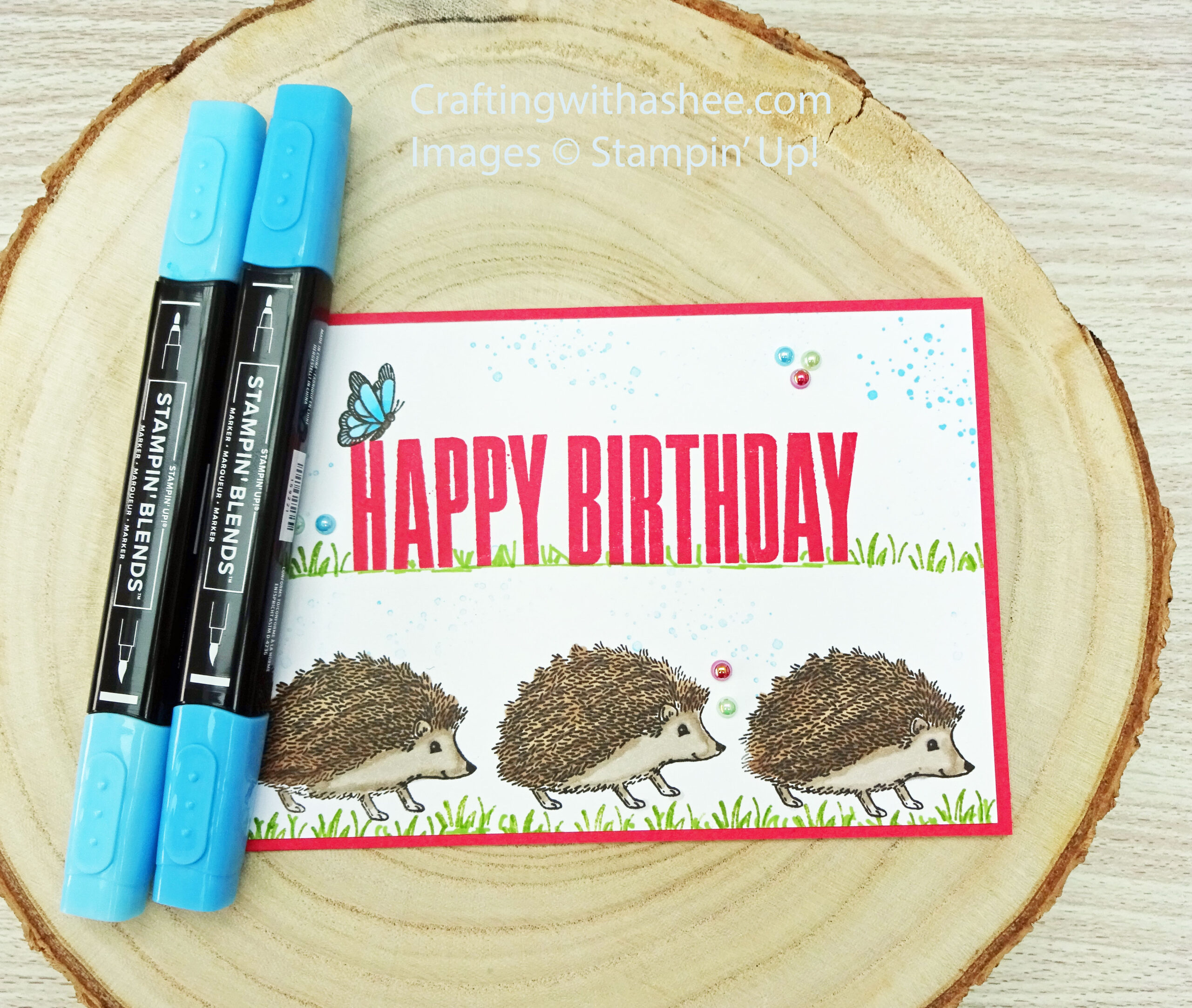 Make a Hedgehog Birthday Card - No Dimension – Crafting with Ashee ...