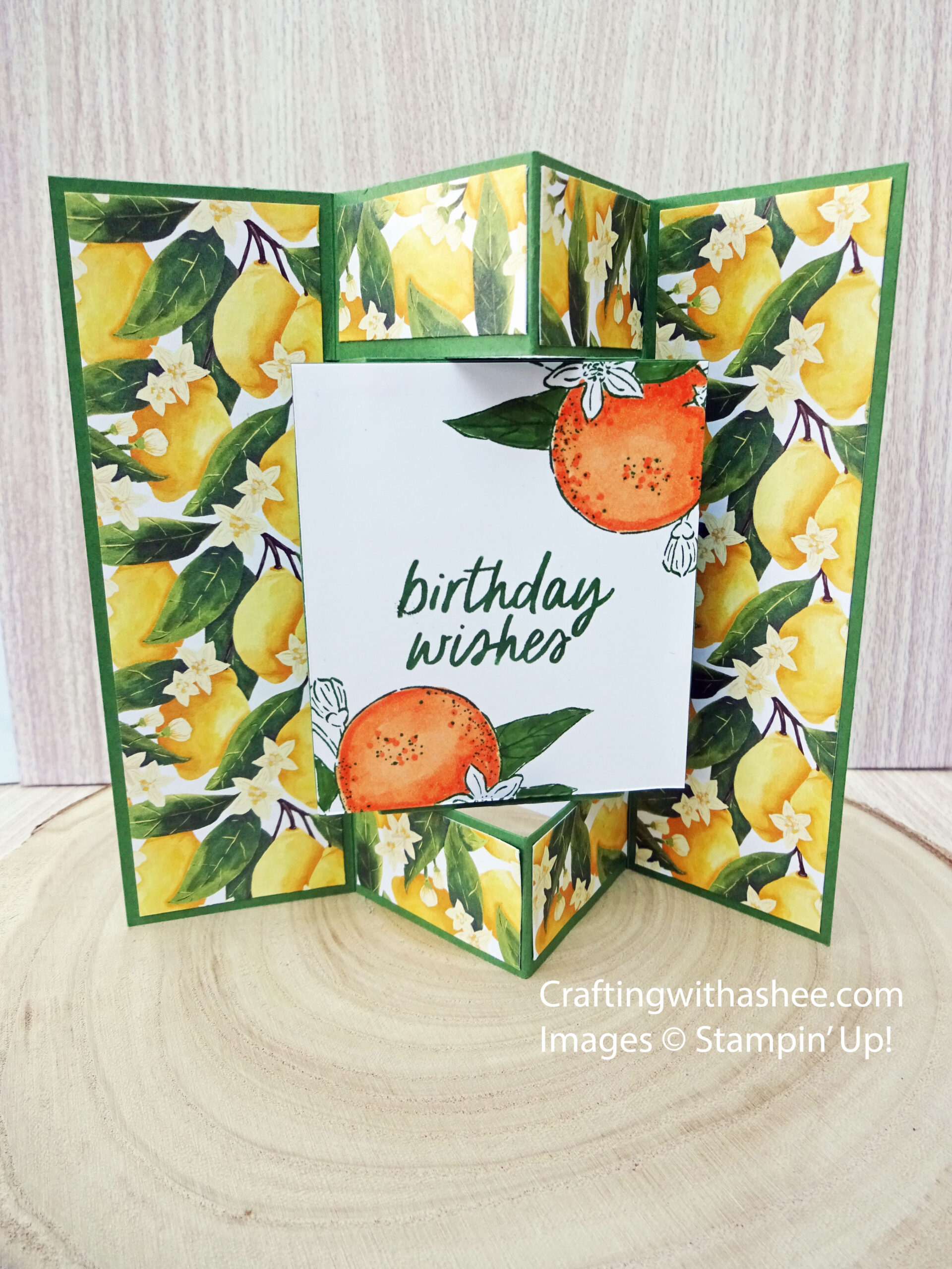 Make a "Pop Out" Fancy Fold Card - What Would You Call it? – Crafting ...